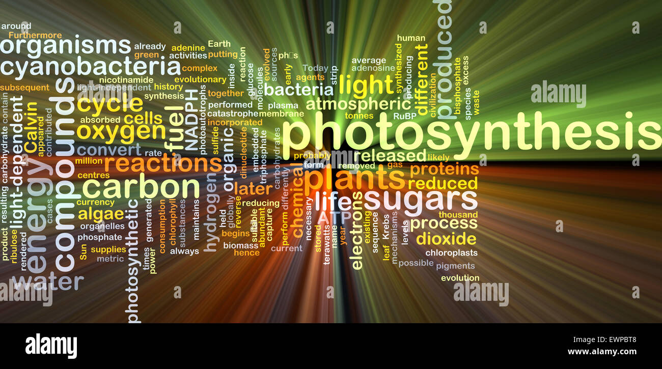 Background concept wordcloud illustration of photosynthesis glowing ...