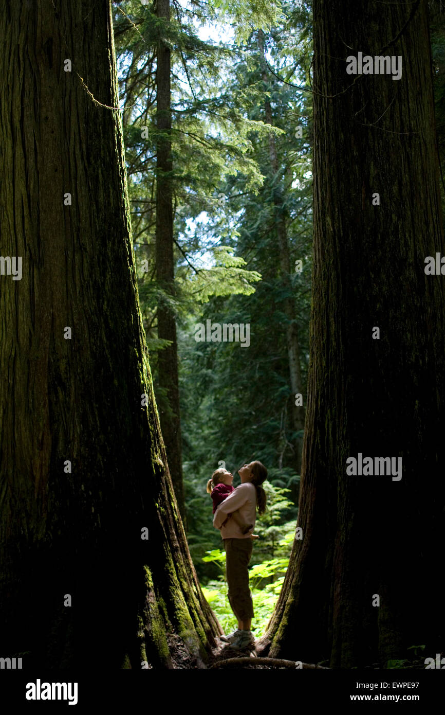 Between protection hi-res stock photography and images - Alamy