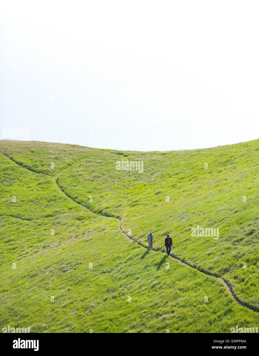 Two men walking in an open green landscape Stock Photo - Alamy