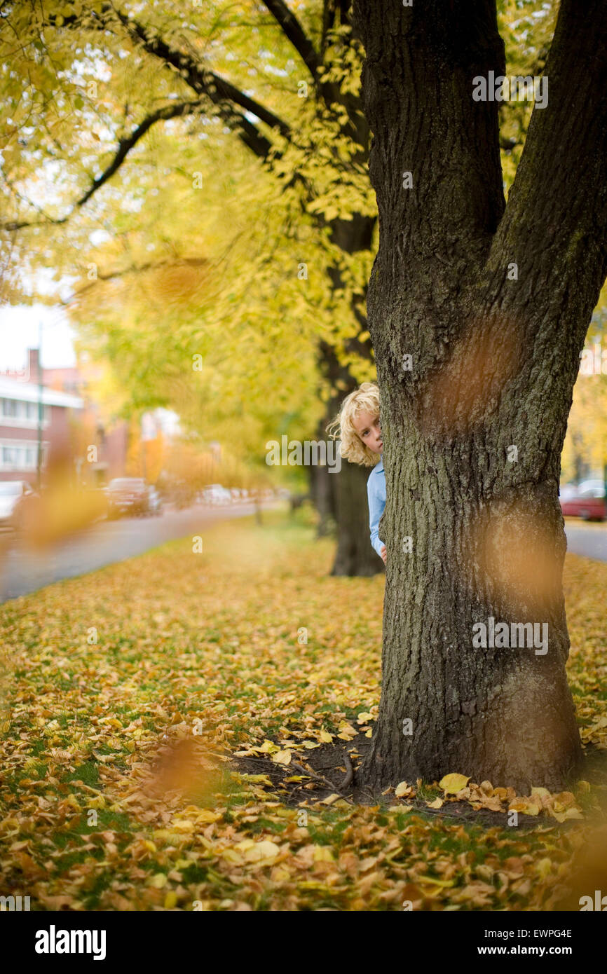 Boy standing behind tree hi-res stock photography and images - Alamy