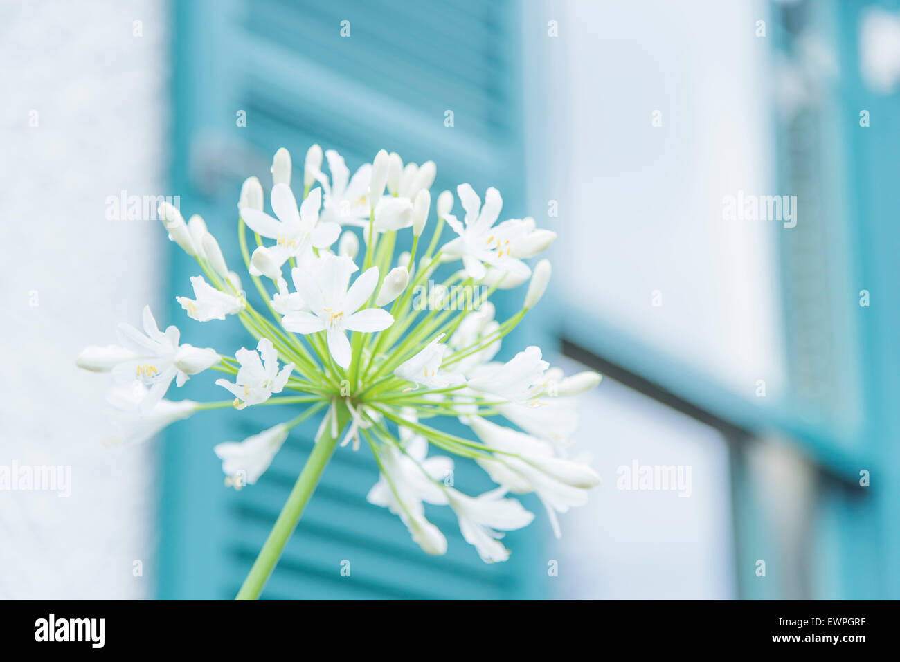 Yokohama yamate bluff hi-res stock photography and images - Alamy