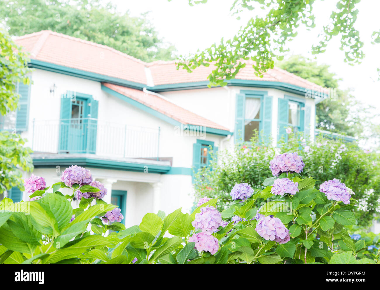Yokohama bluff architecture hi-res stock photography and images - Alamy