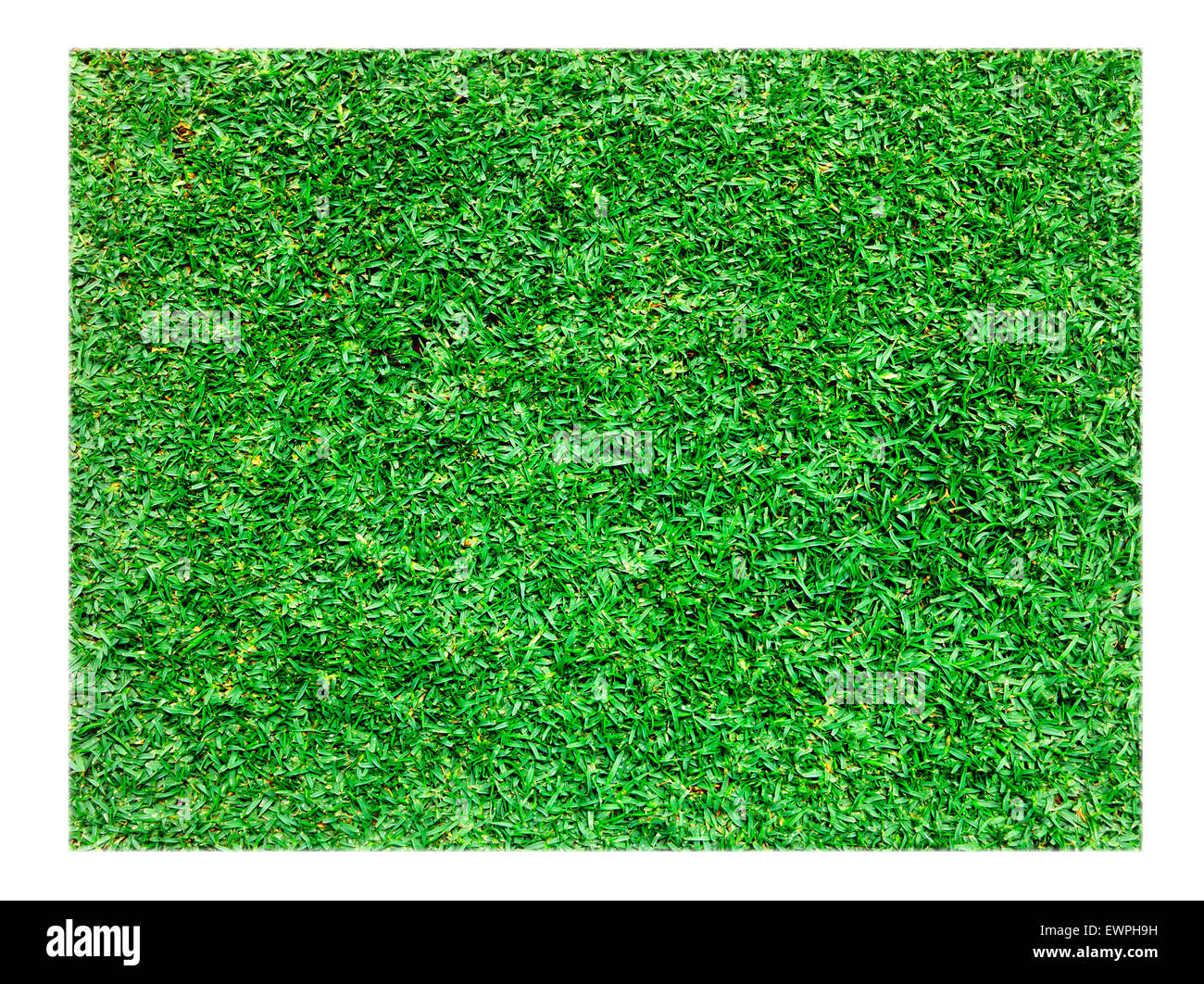 Golf green lawn naturally textured pattern background Stock Photo - Alamy