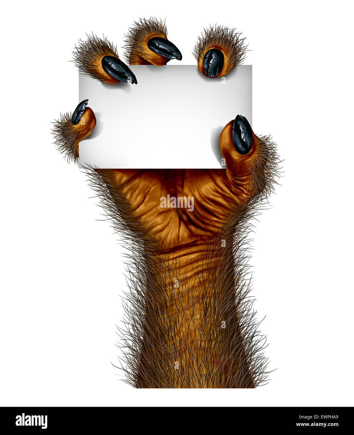 Werewolf hand holding a blank card sign as a creepy creature for ...