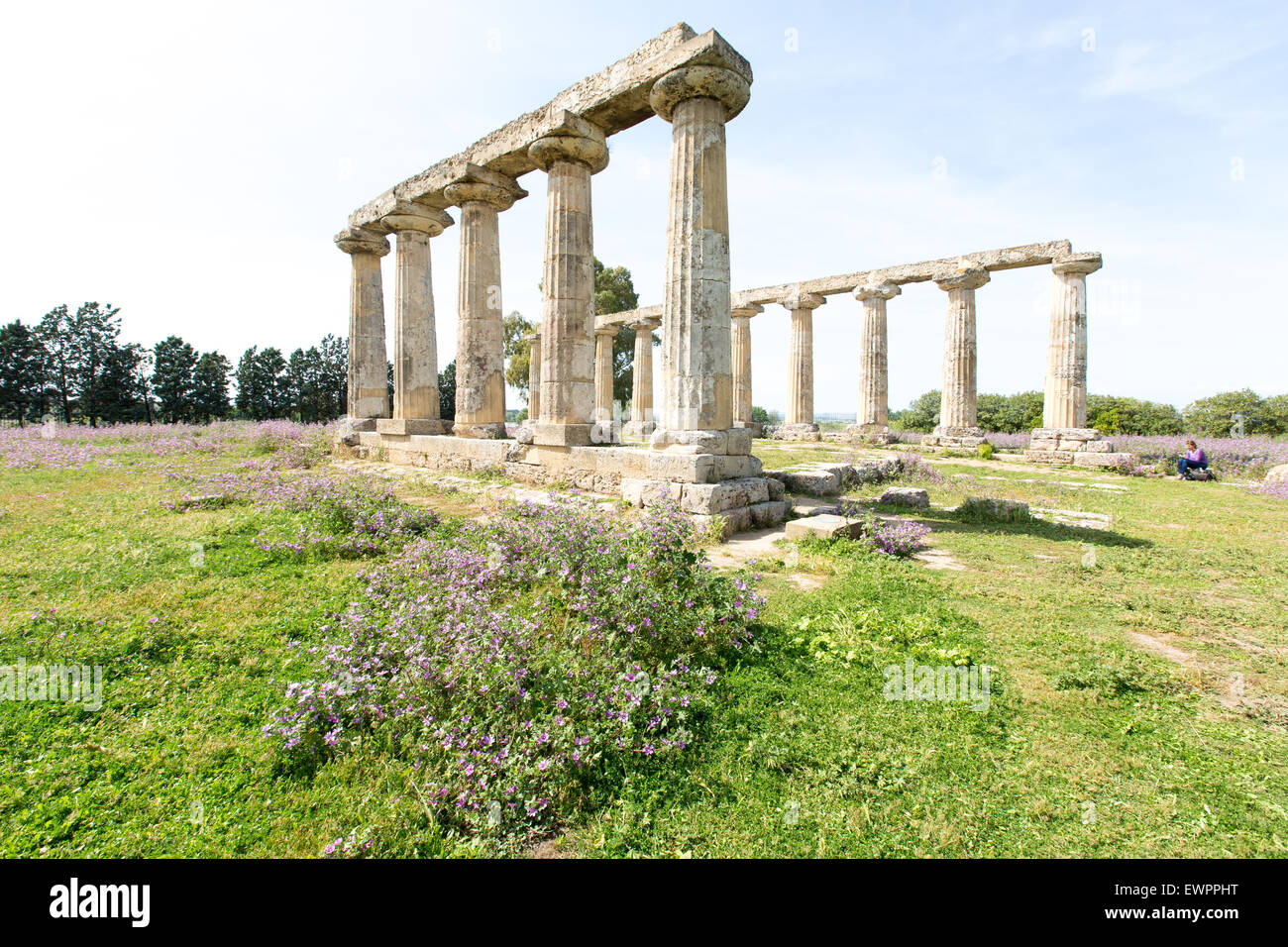 Palatine Tables, Hera Sanctuary in Metaponto, Basilicata, Italy Stock ...