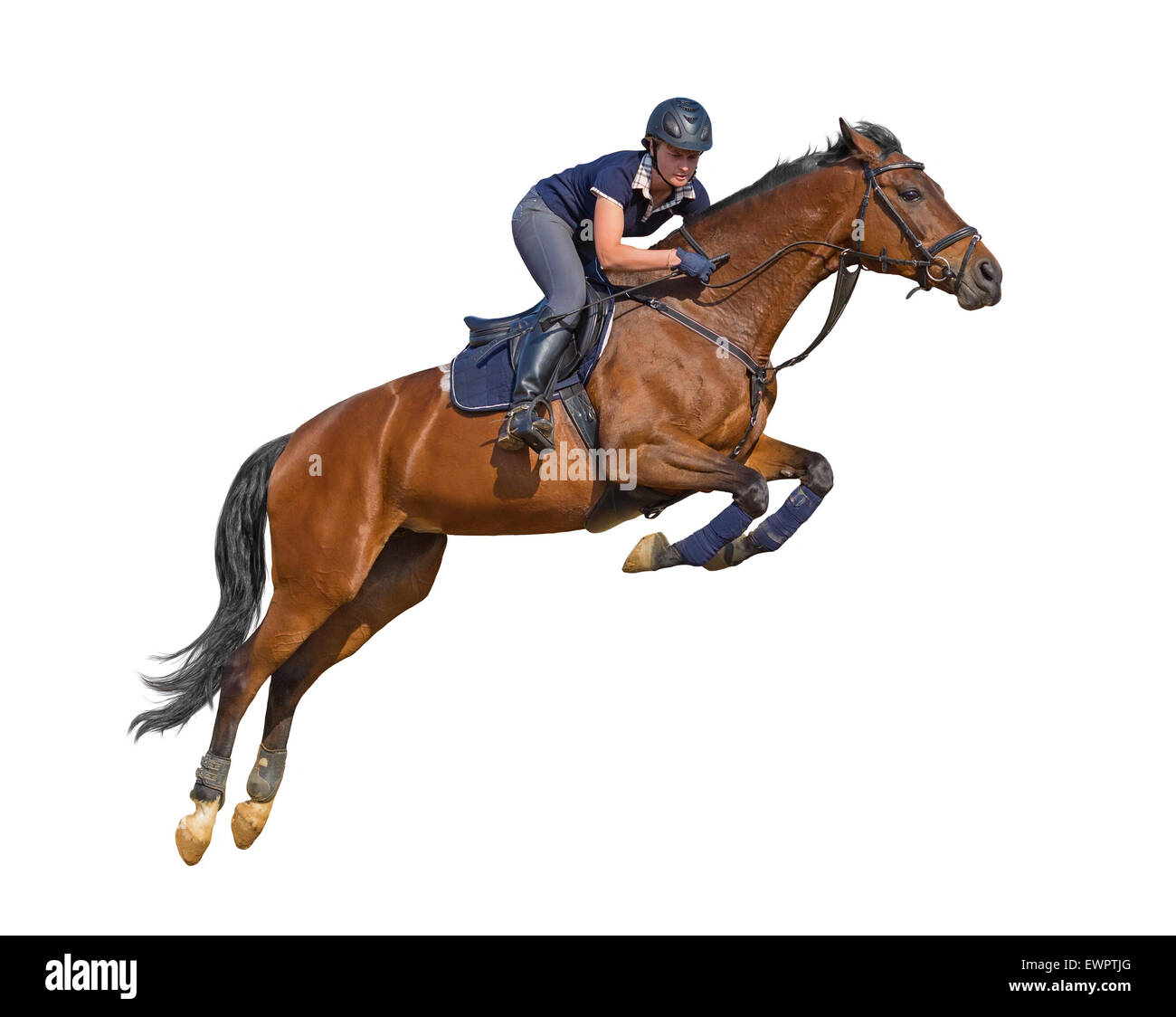 Equine female hi-res stock photography and images - Alamy