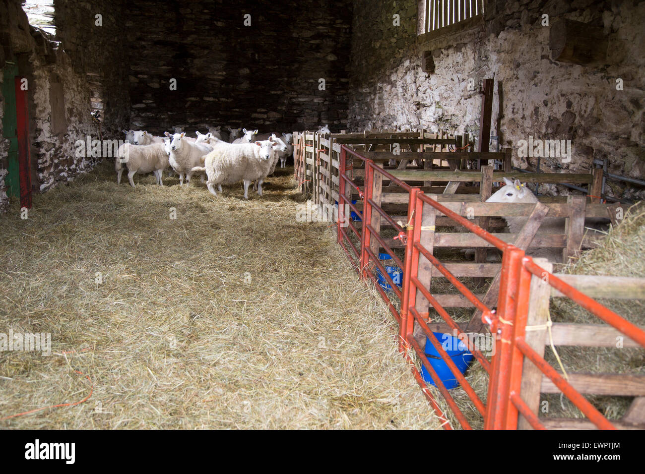Traditional lakeland barn hi-res stock photography and images - Alamy