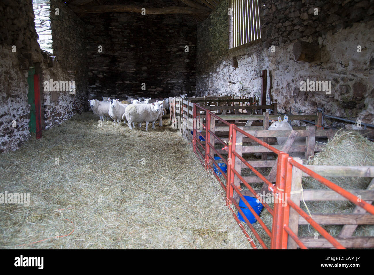 Traditional lakeland barn hi-res stock photography and images - Alamy