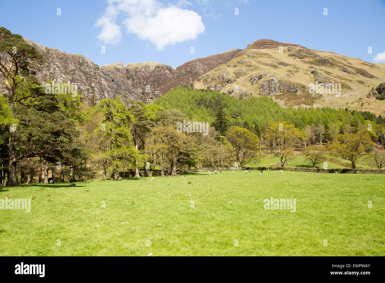 Countryside around Buttermere, Lake District national park, Cumbria ...