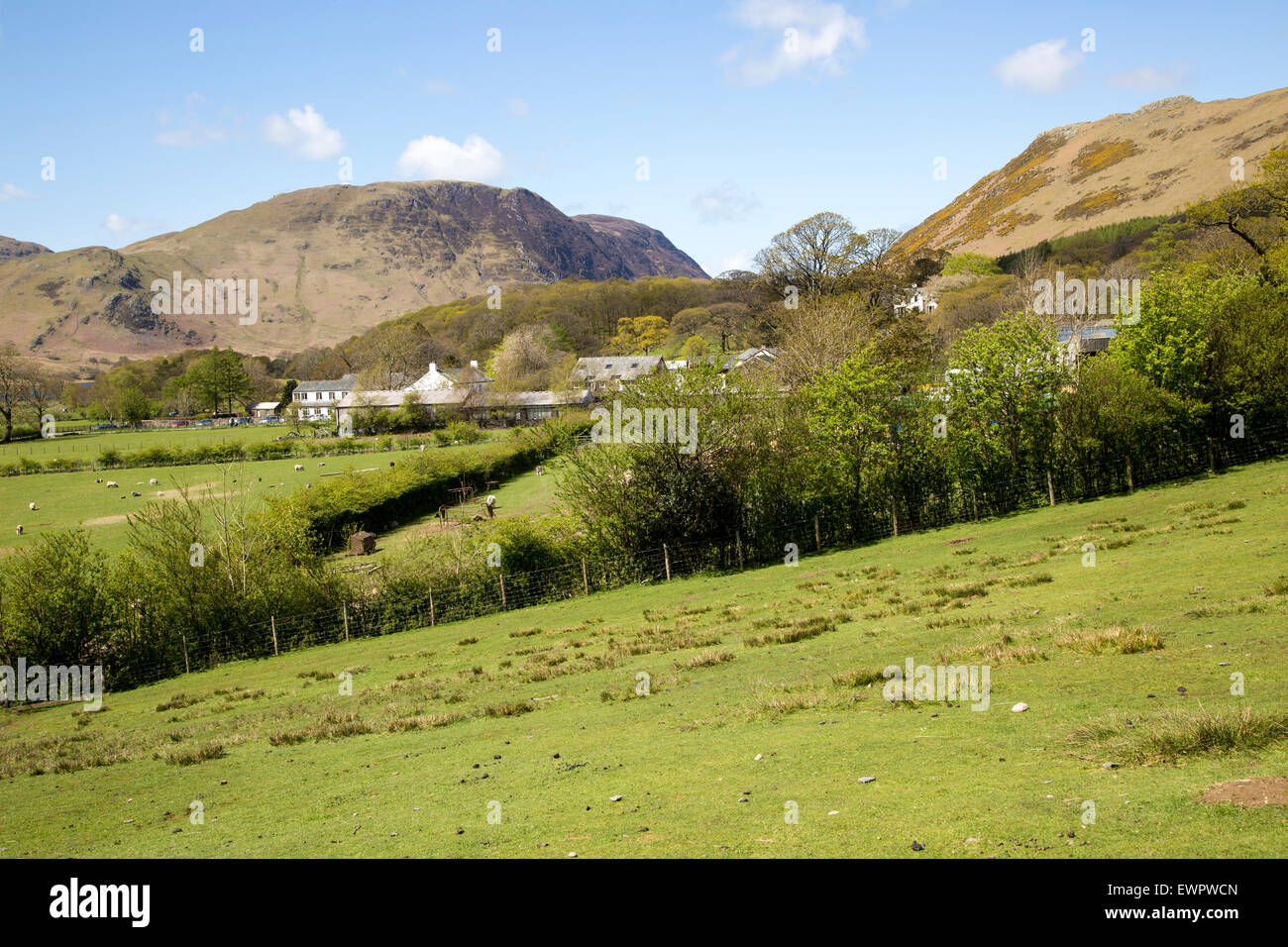 Fields around the village of Buttermere, Lake District national park ...