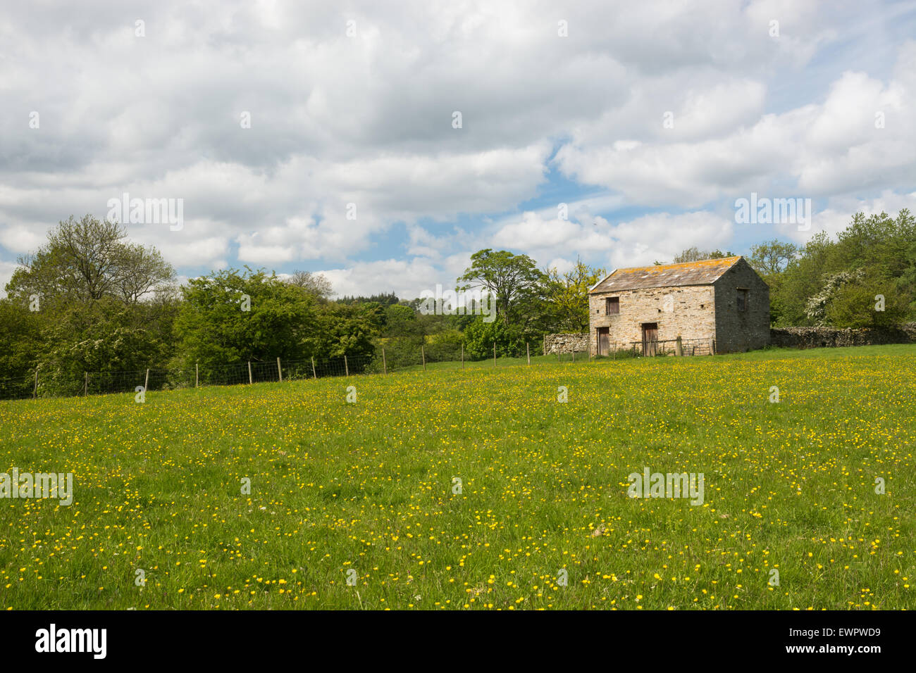Stone barn in a summer meadow Stock Photo - Alamy