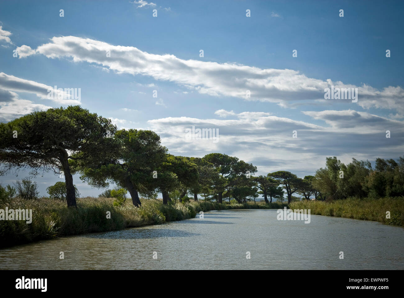 Riverscape photography hi-res stock photography and images - Alamy