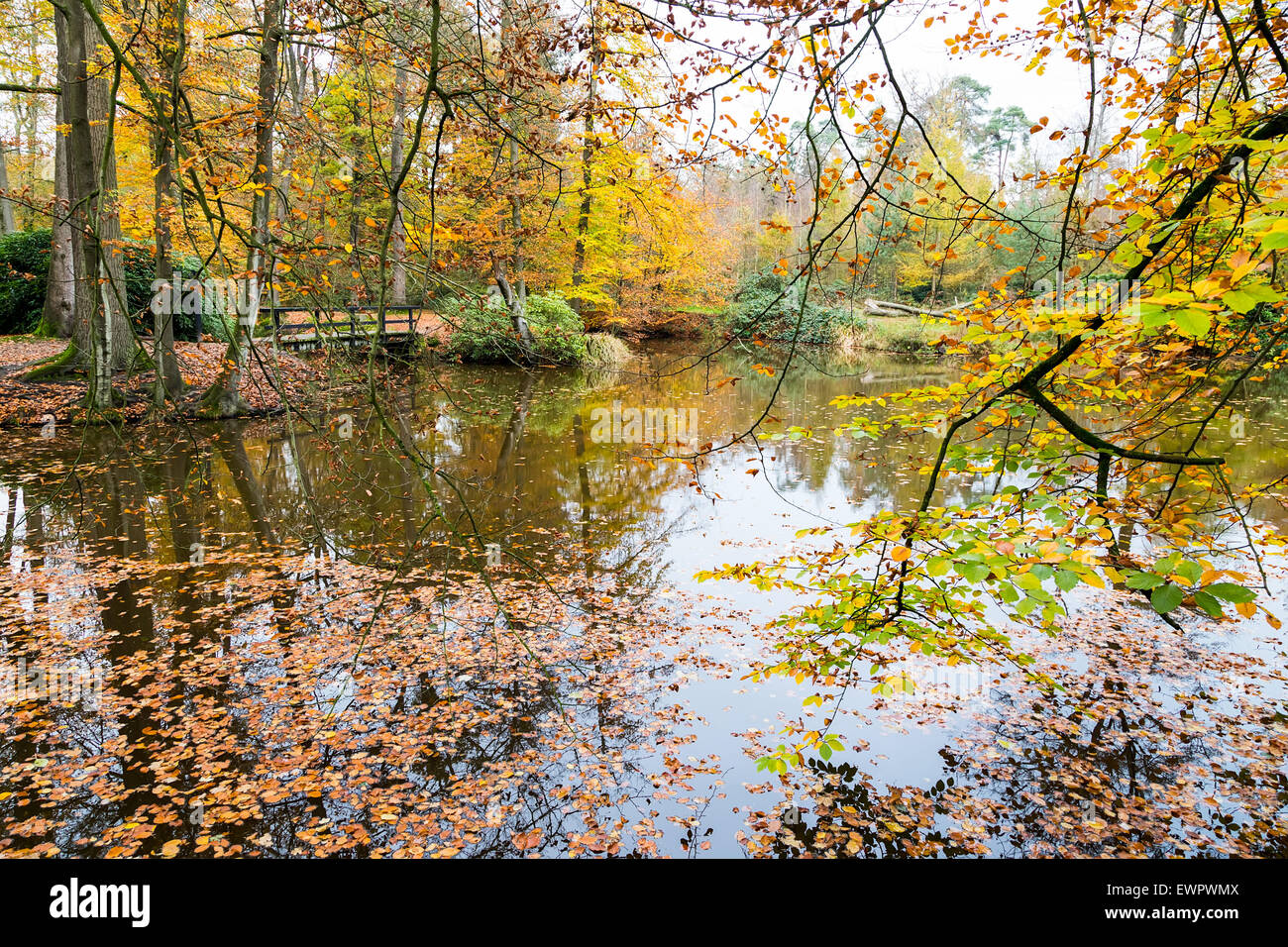 Red brown water colors hi-res stock photography and images - Alamy