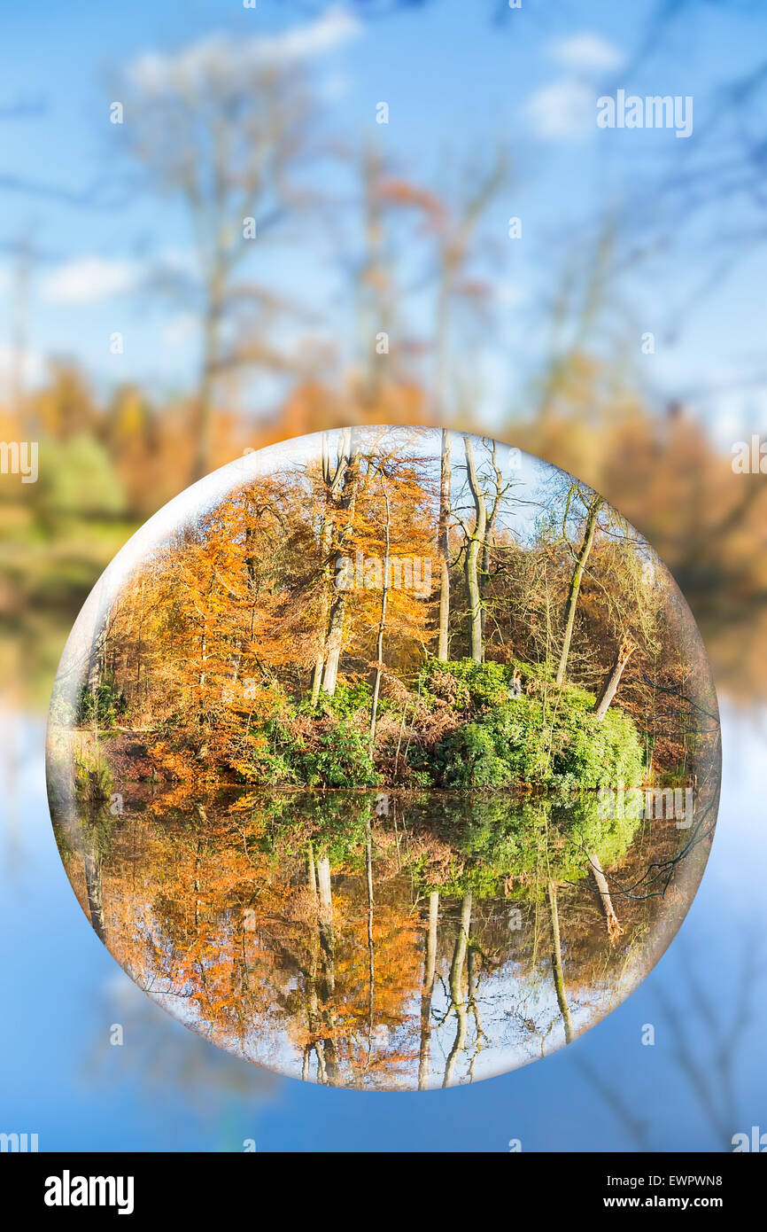 Crystal in forest hi-res stock photography and images - Alamy