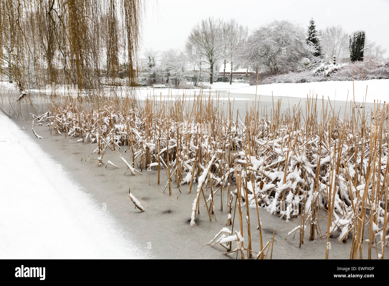 Snow and ice on water of pond in winter season Stock Photo - Alamy