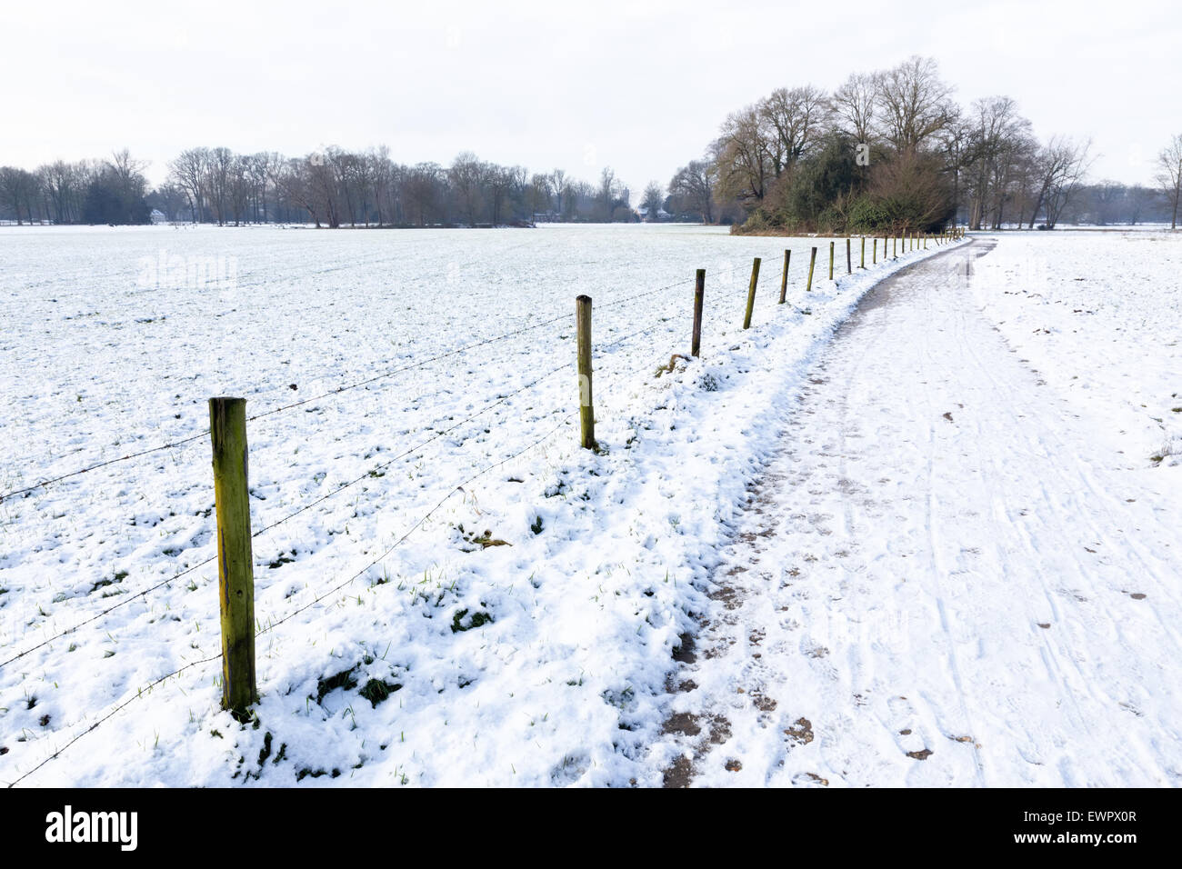Snow landscape with footpath between pastures in winter season Stock ...