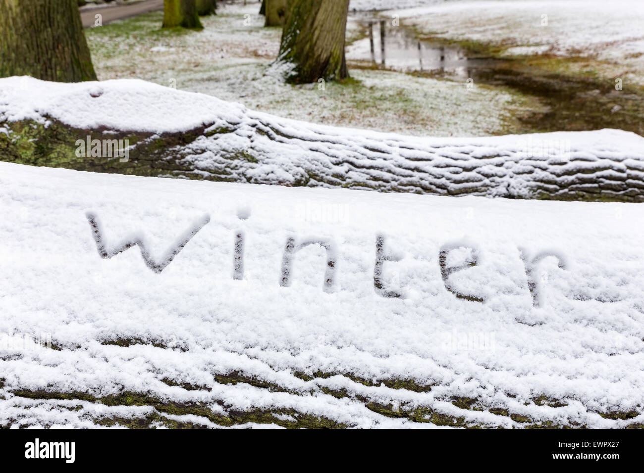 Word winter written in snow on oak tree trunk during winter season ...