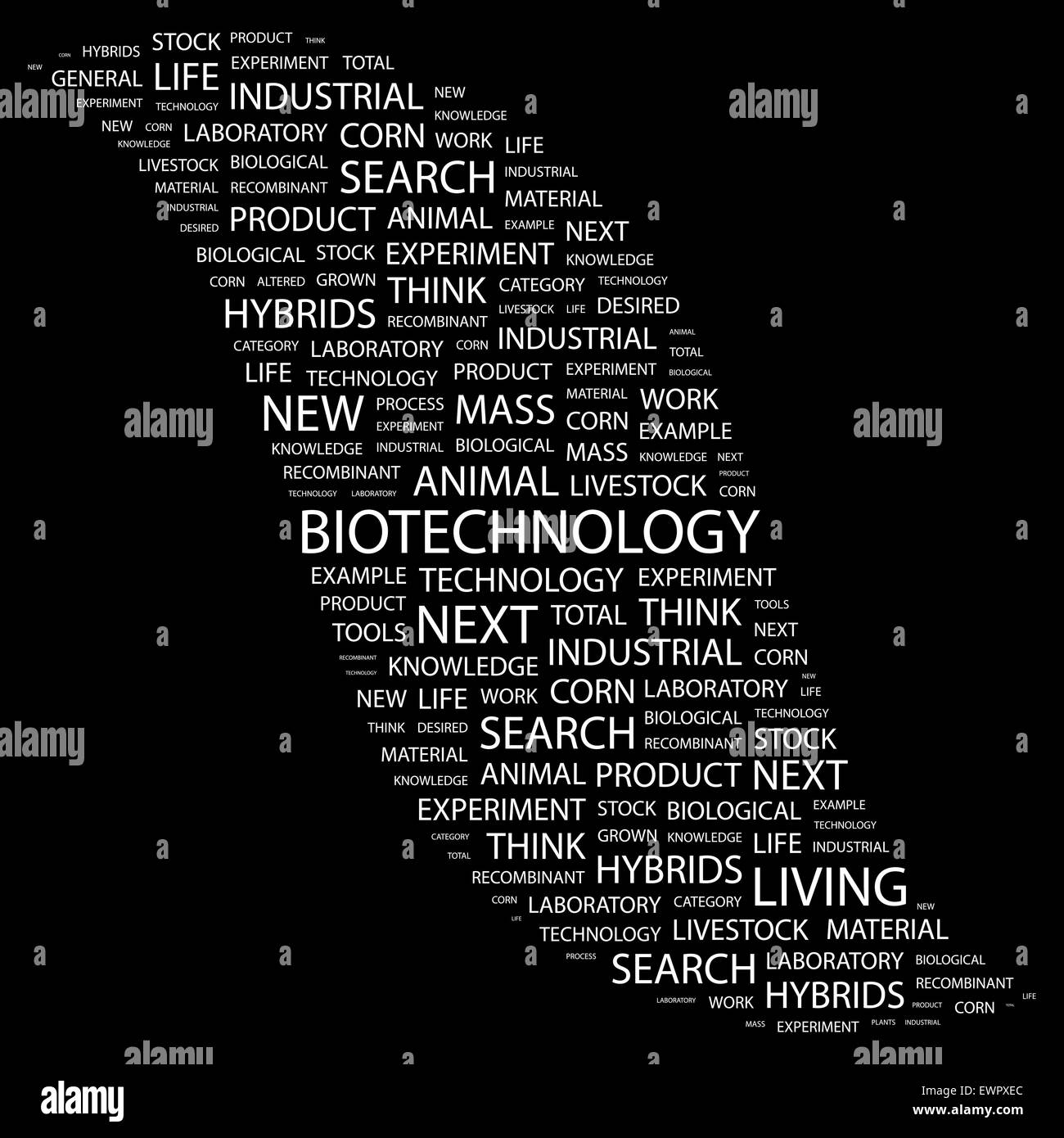 Examples Of Word Collages