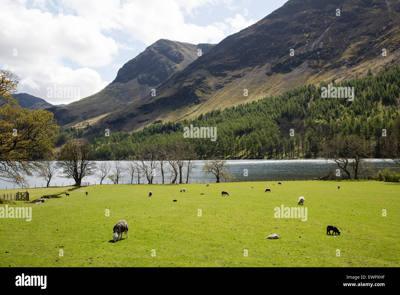 Landscape view of Lake Buttermere, Cumbria, England, UK Stock Photo - Alamy