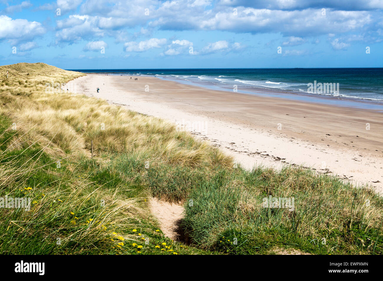 Seahouses marine hi-res stock photography and images - Alamy