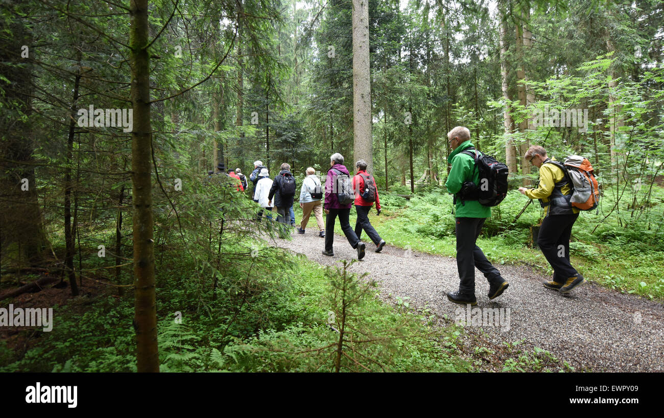 Hinterzarten In Black Forest In High Resolution Stock Photography and ...