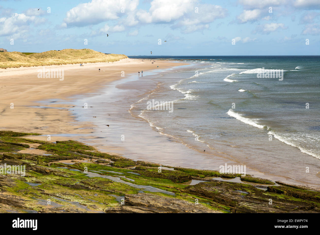 Wide sandy beach at Seahouses, Northumberland, England, UK Stock Photo ...