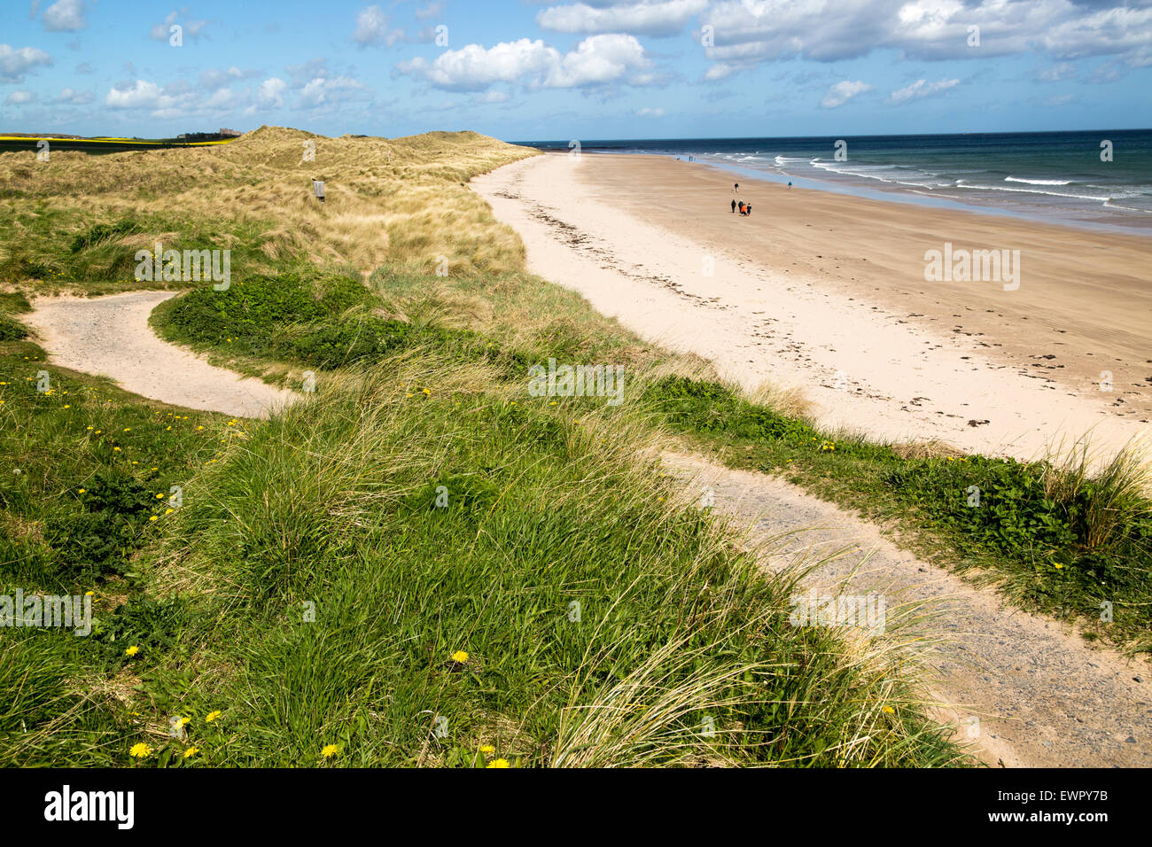 Seahouses coastline hi-res stock photography and images - Alamy