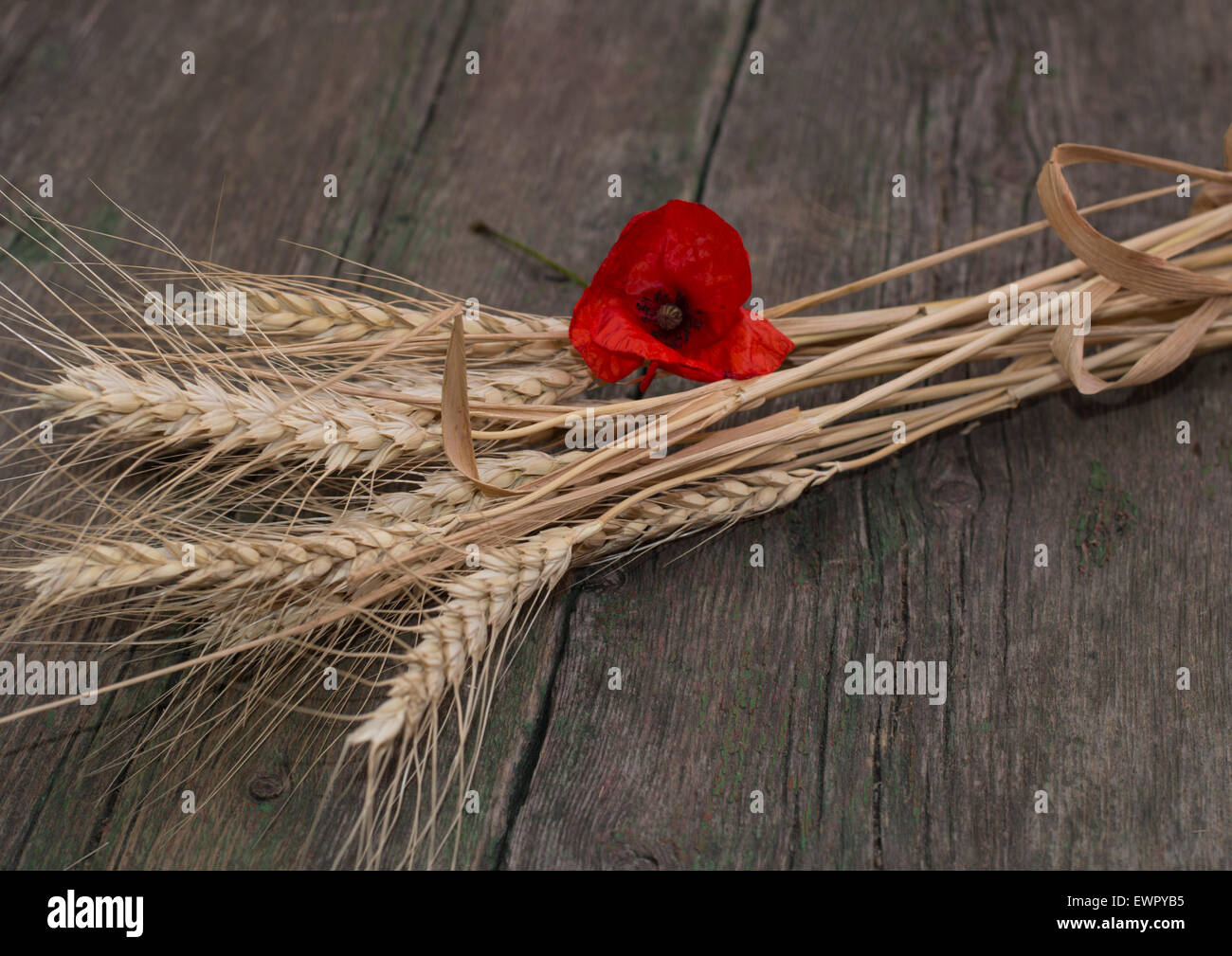 Wheat Flower Stock Photos & Wheat Flower Stock Images - Alamy