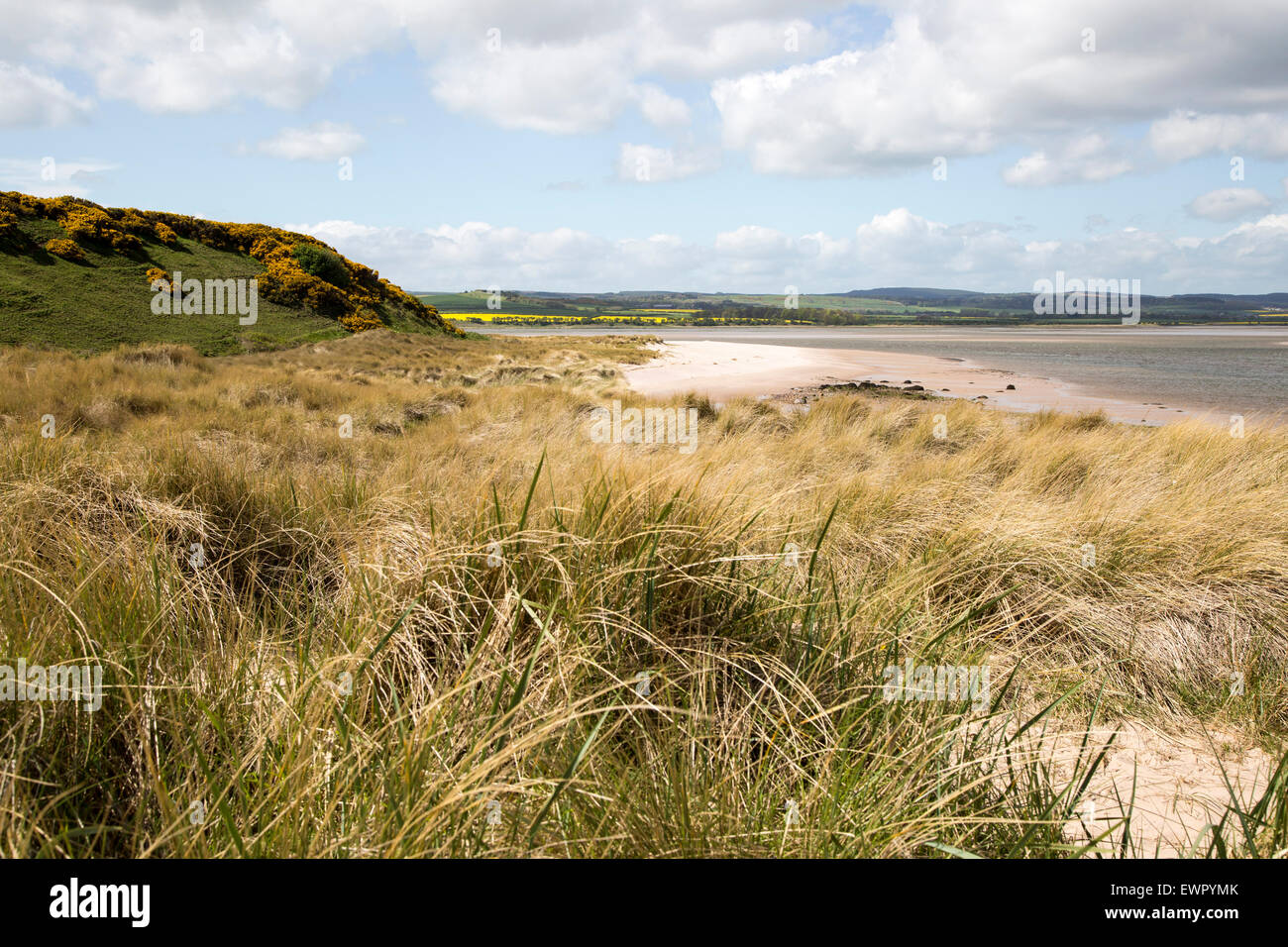 Sandy beach at low tide, Budle Bay, Northumberland, England, UK Stock ...