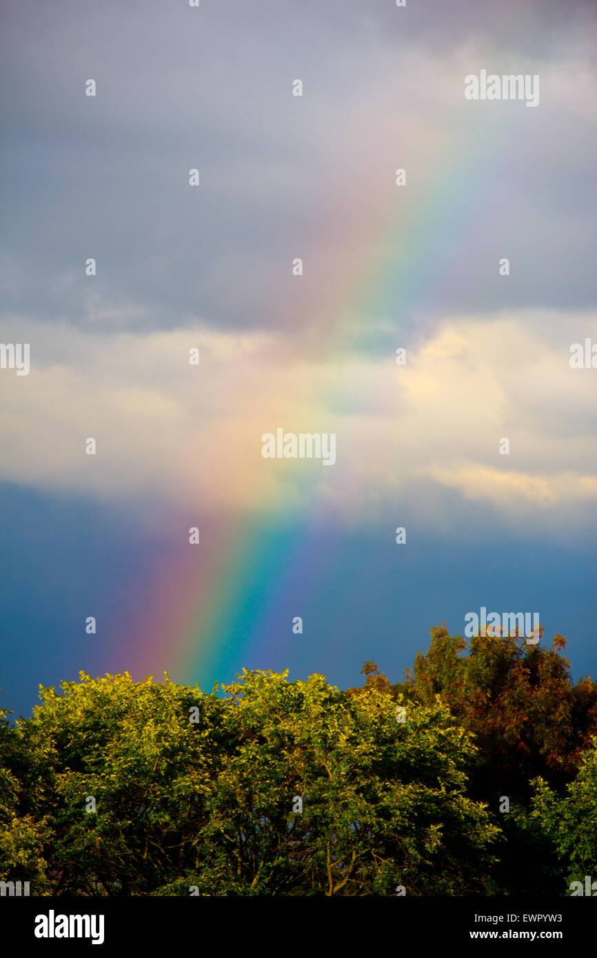 Rainbow with trees Stock Photo - Alamy