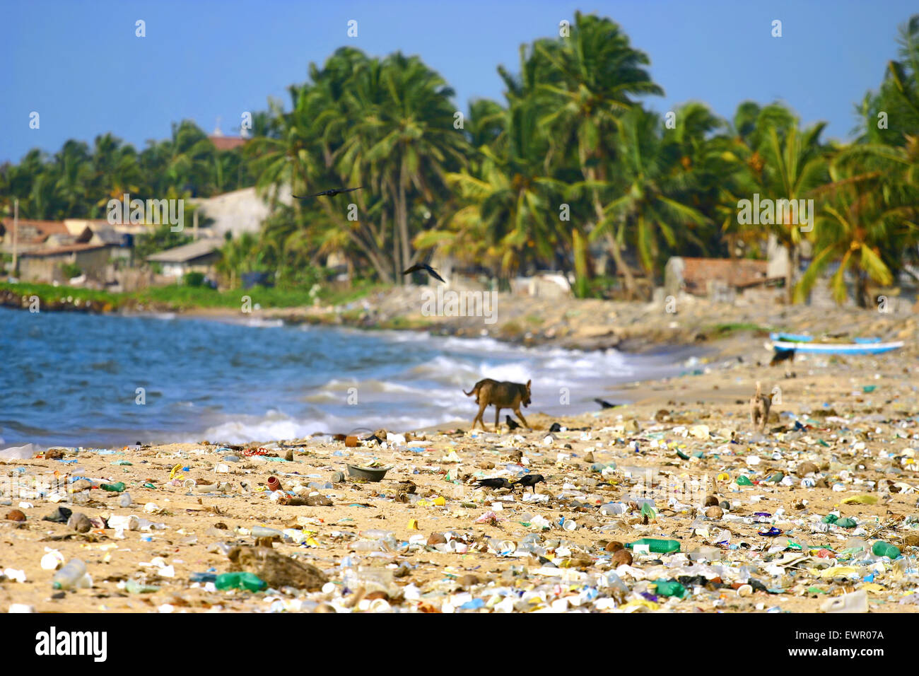 Garbage on a beach left by tourists, environmental pollution concept ...