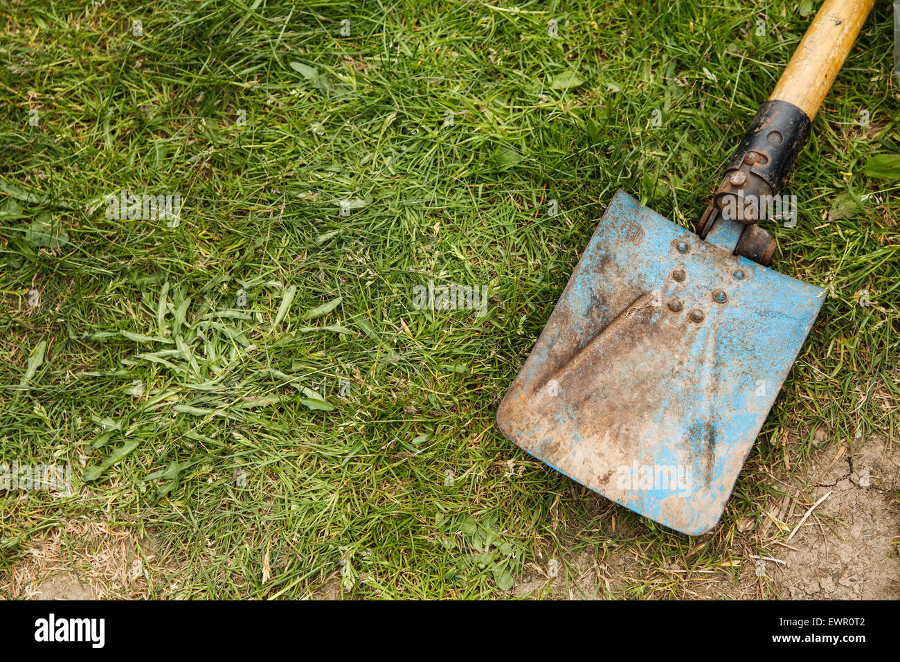 Blue rusty spade on grass Stock Photo - Alamy