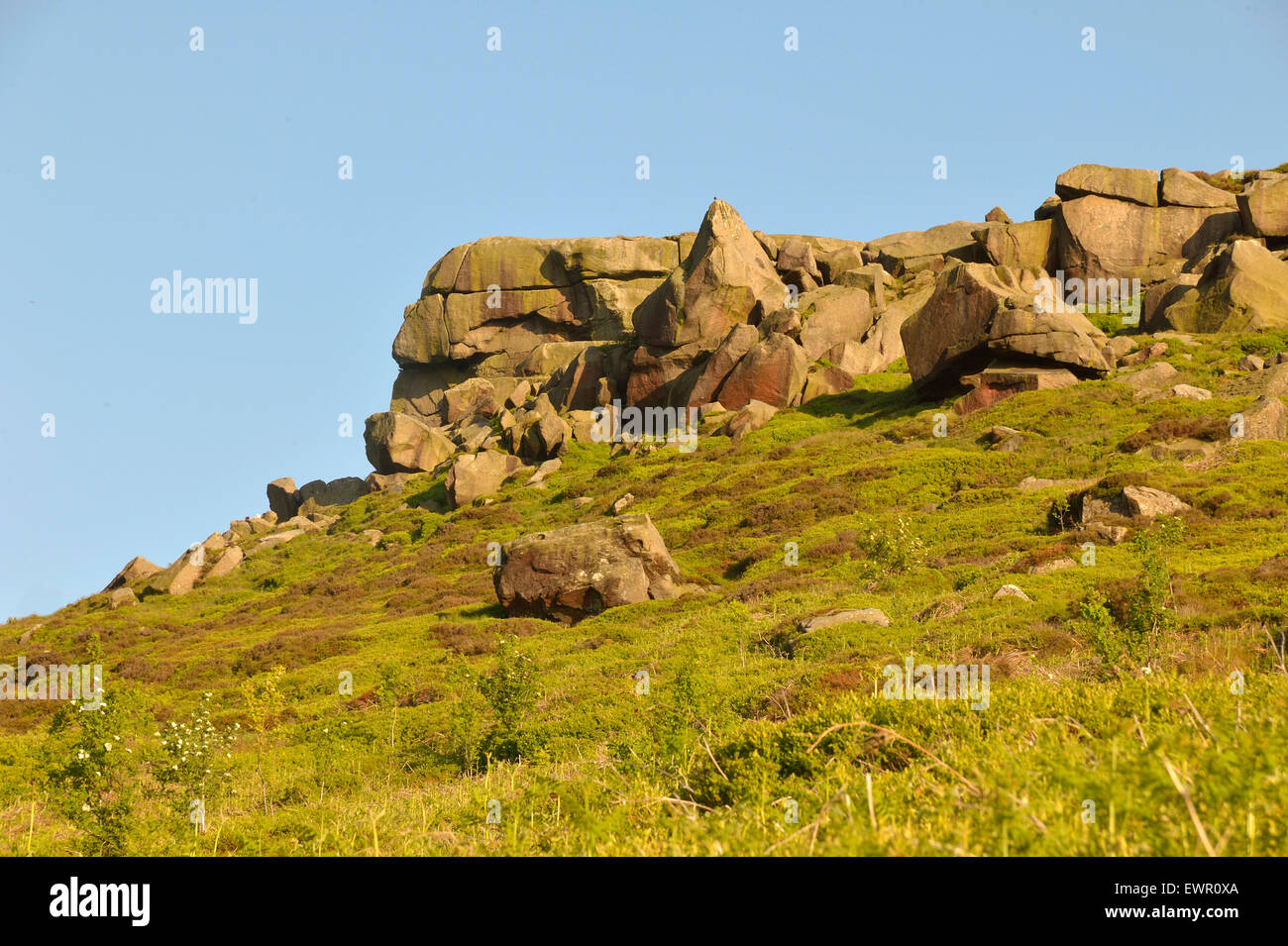 Calf rocks hi-res stock photography and images - Alamy