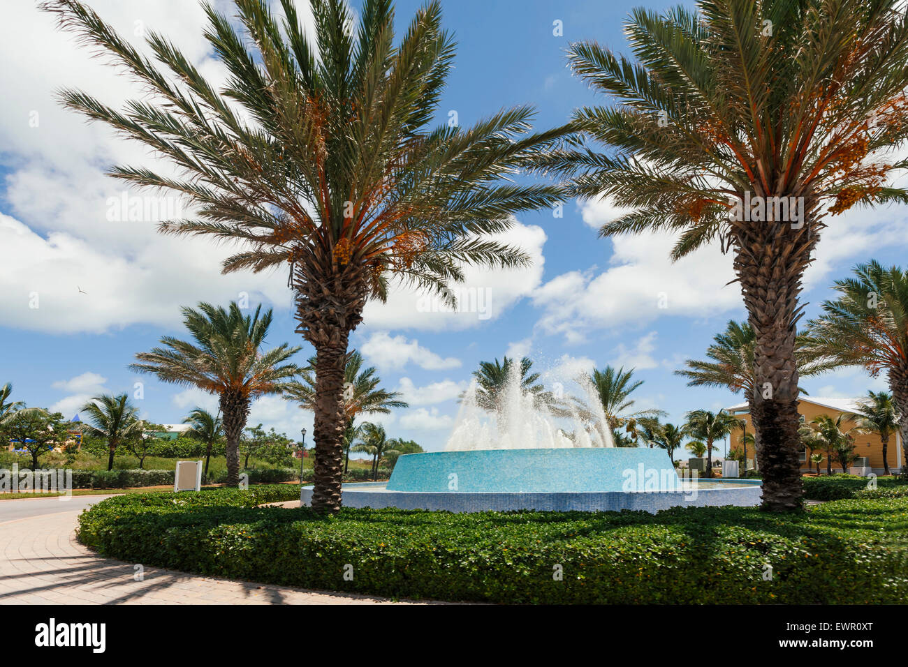 Beautiful image of some palm trees around a water fountain Stock Photo ...