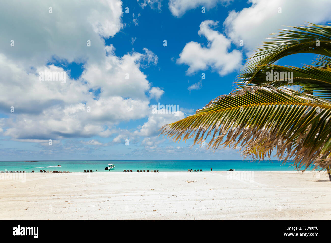 Elche beach hi-res stock photography and images - Alamy