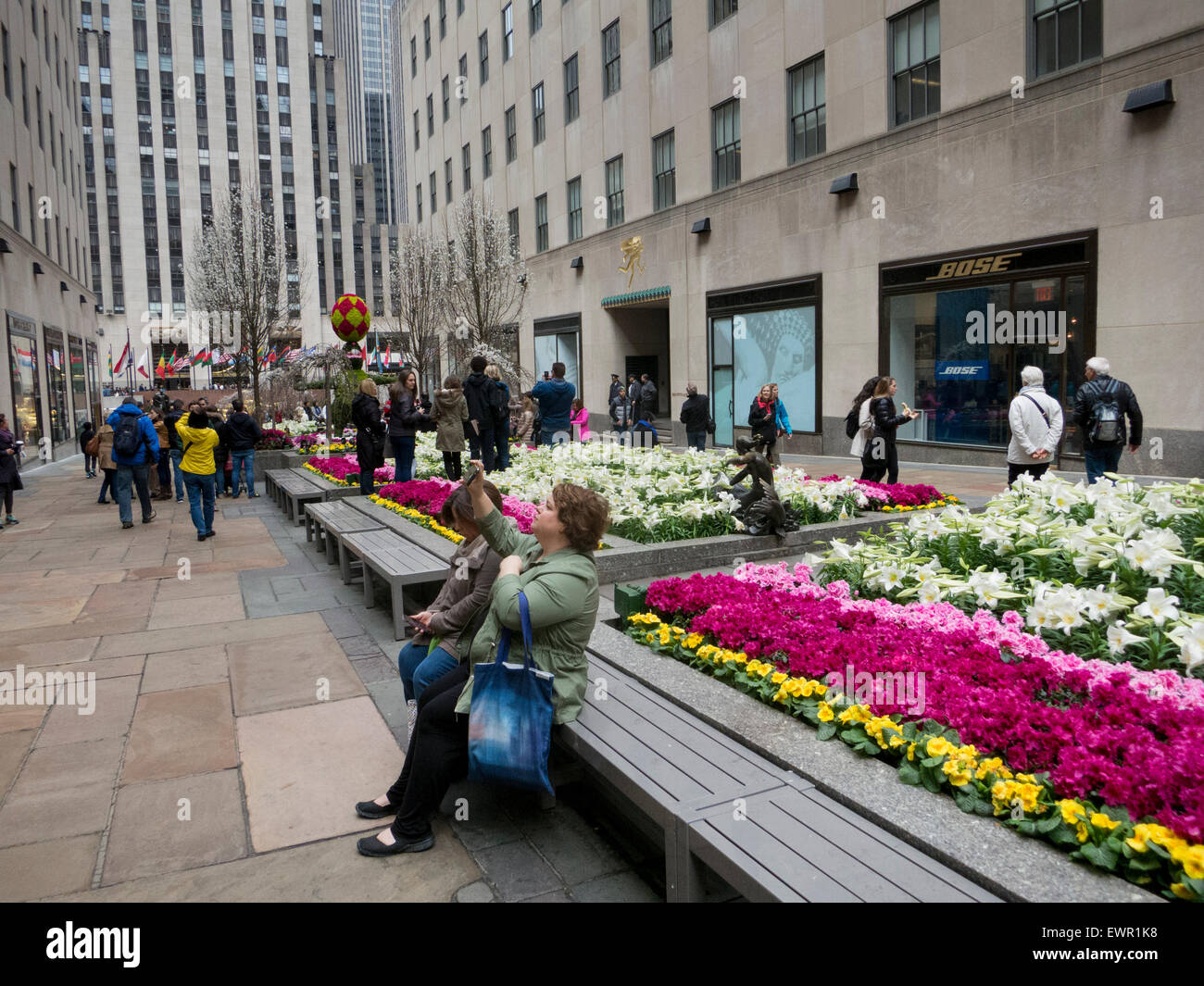 Spring flowers rockefeller center in hi-res stock photography and ...