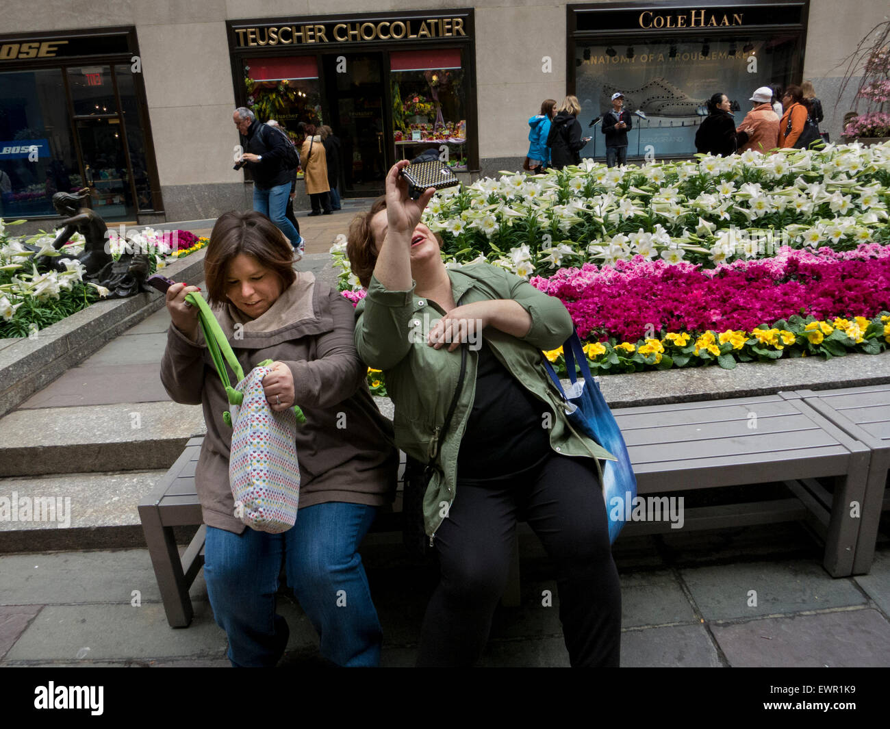 Spring flowers at the Rockefeller Center in New York Stock Photo - Alamy