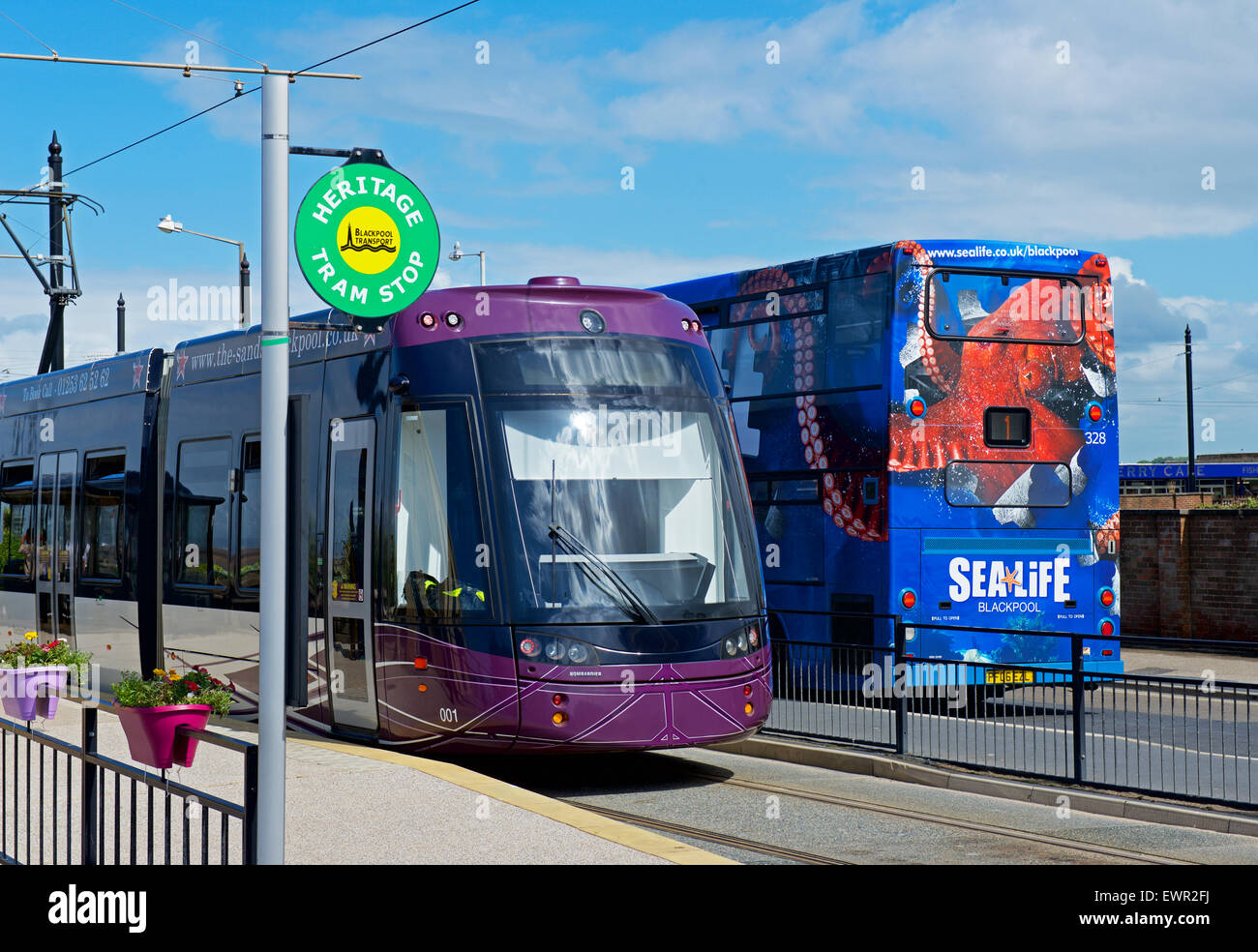 Bus And Tram Stock Photos & Bus And Tram Stock Images - Alamy