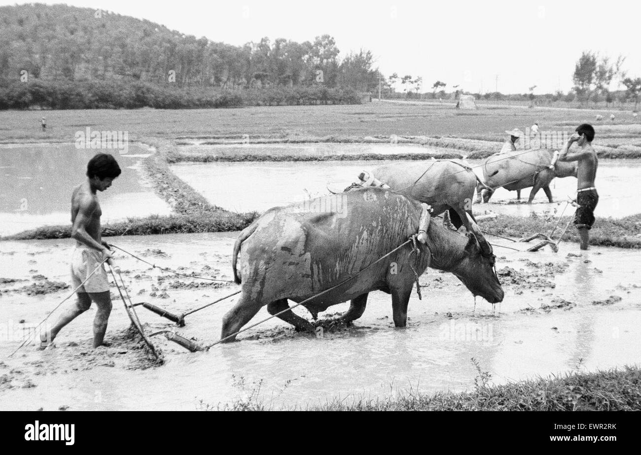 Historical chinese farmers hi-res stock photography and images - Alamy