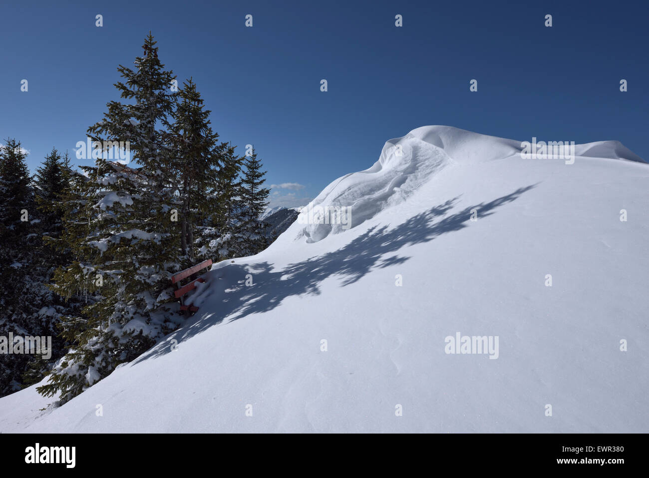 Drift tree hi-res stock photography and images - Alamy