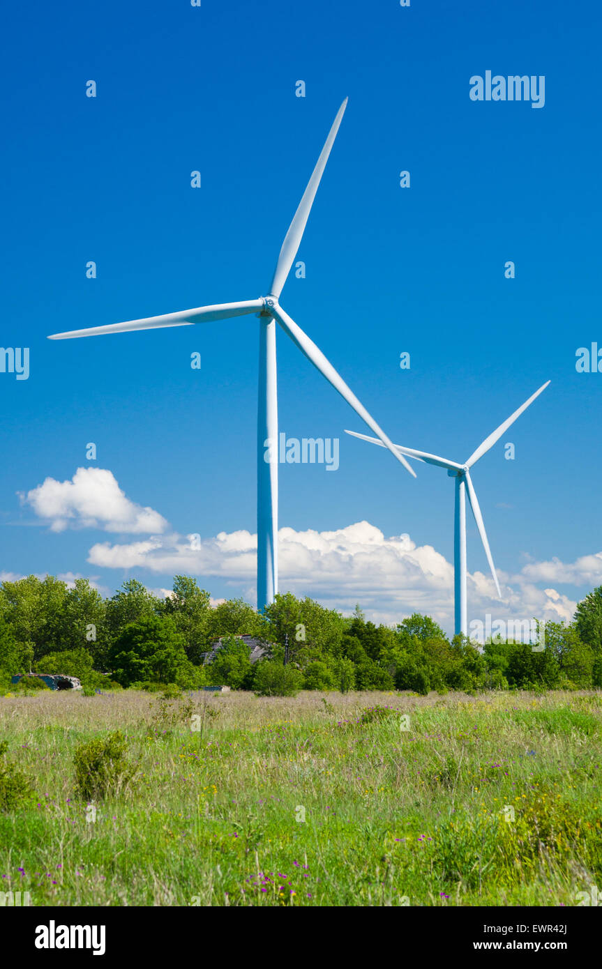 Wind generators in rural area. Renewable energy Stock Photo - Alamy