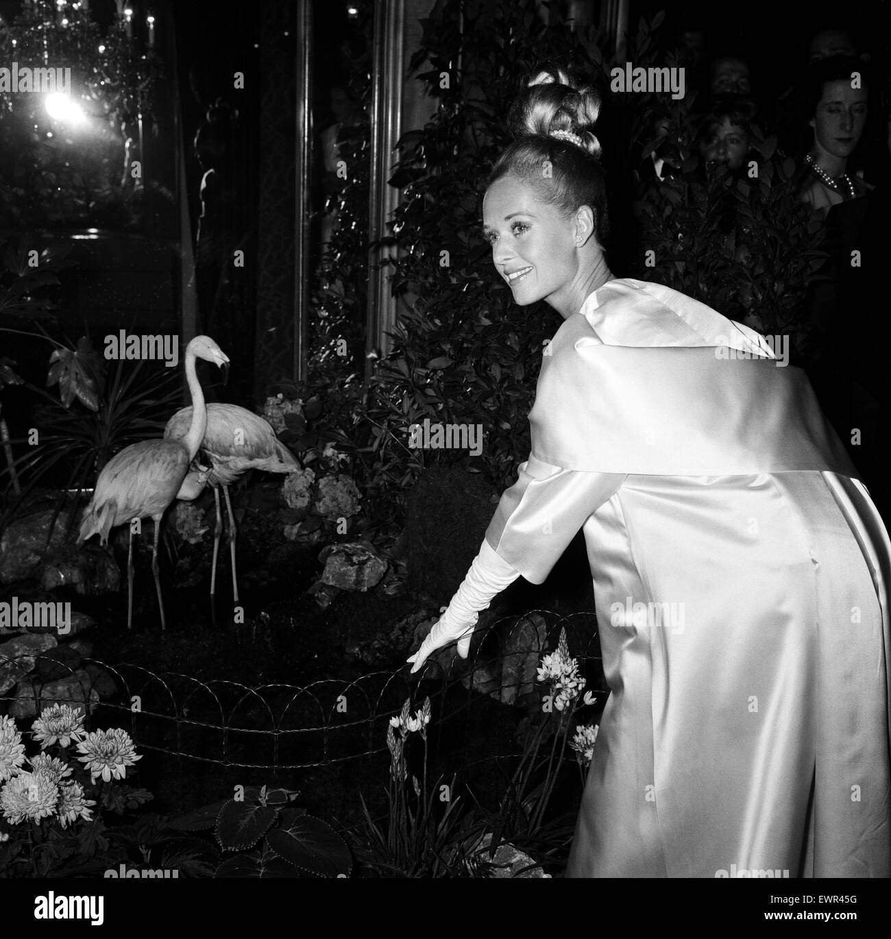 Tippi Hedren The Birds
