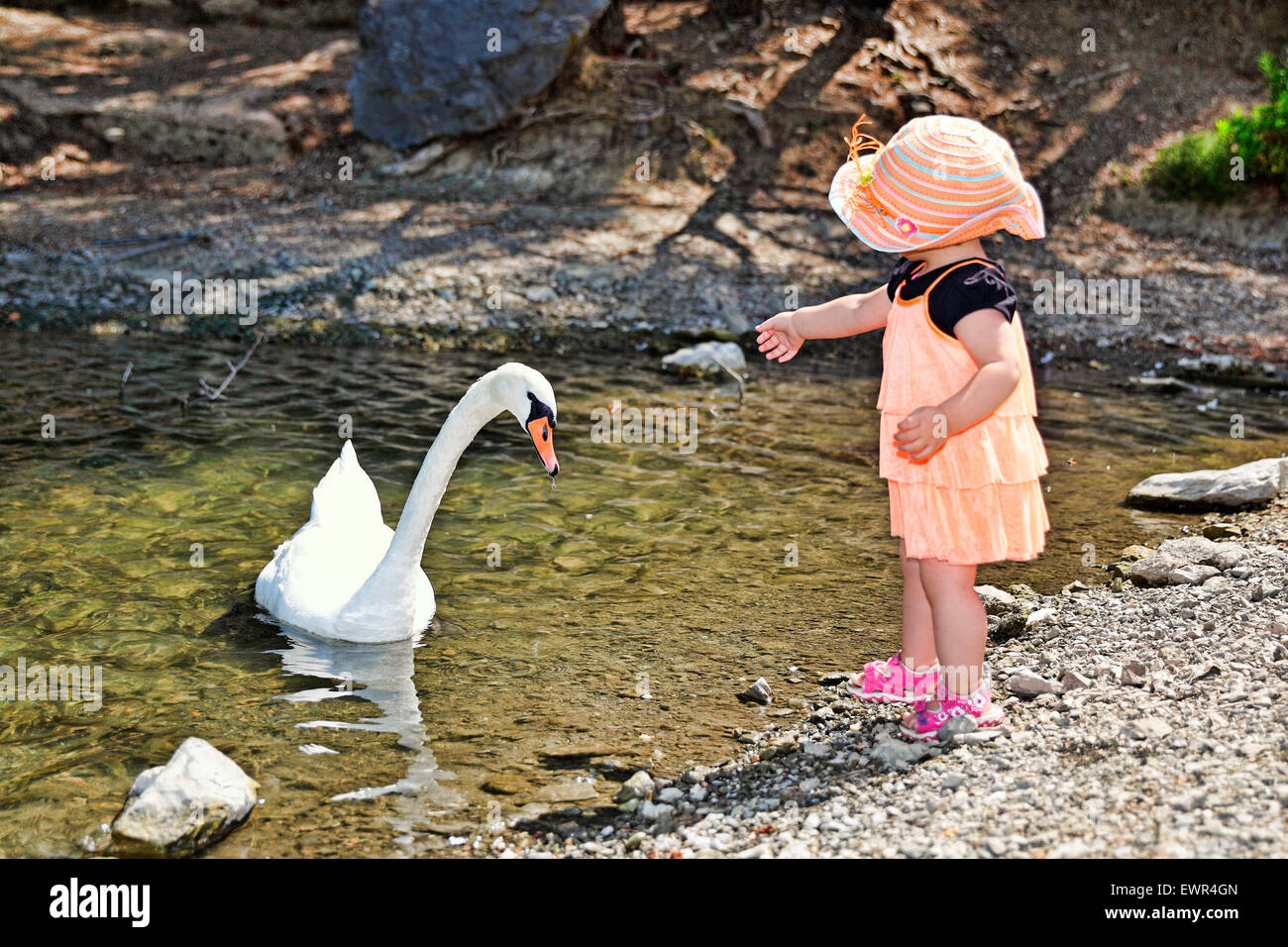 A pretty little girl with hat having fun with a swan Stock Photo - Alamy