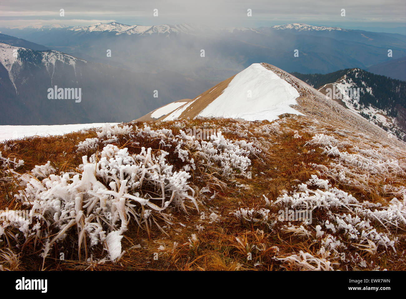 Spots Of Snow High Resolution Stock Photography and Images - Alamy