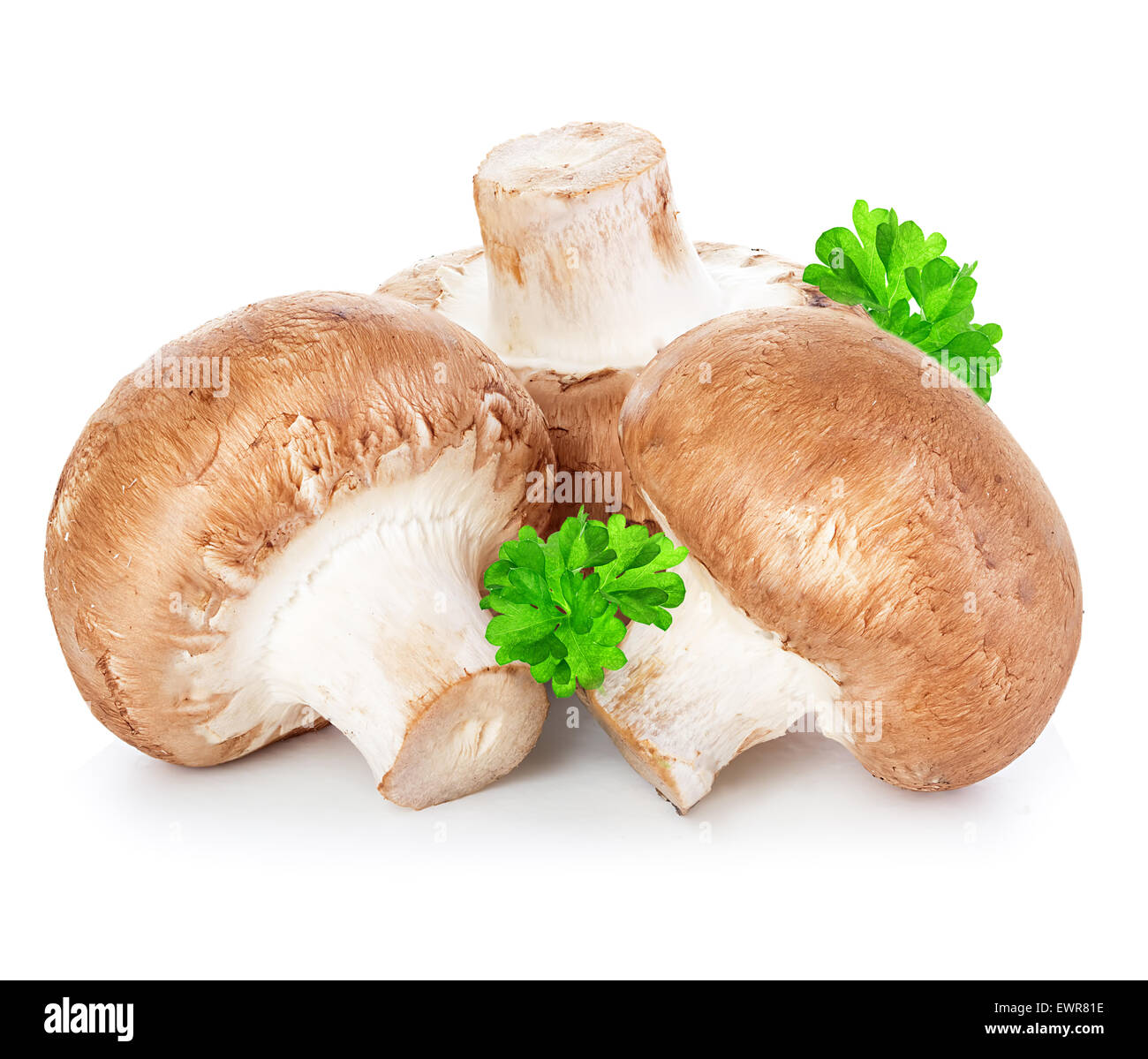 Brown champignons mushrooms Stock Photo - Alamy