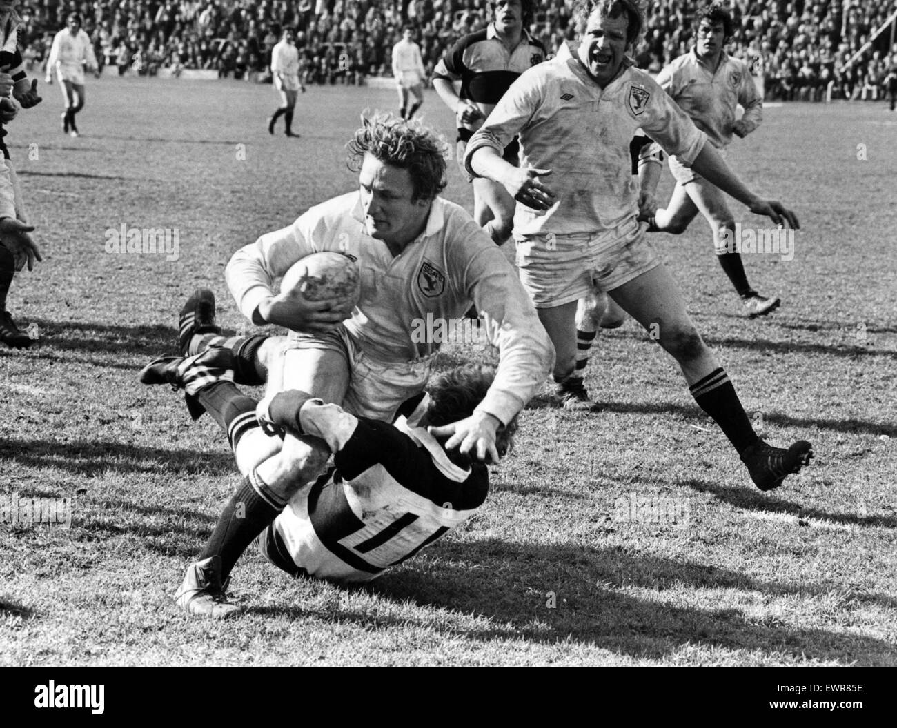 Swansea rugby football club hi-res stock photography and images - Alamy