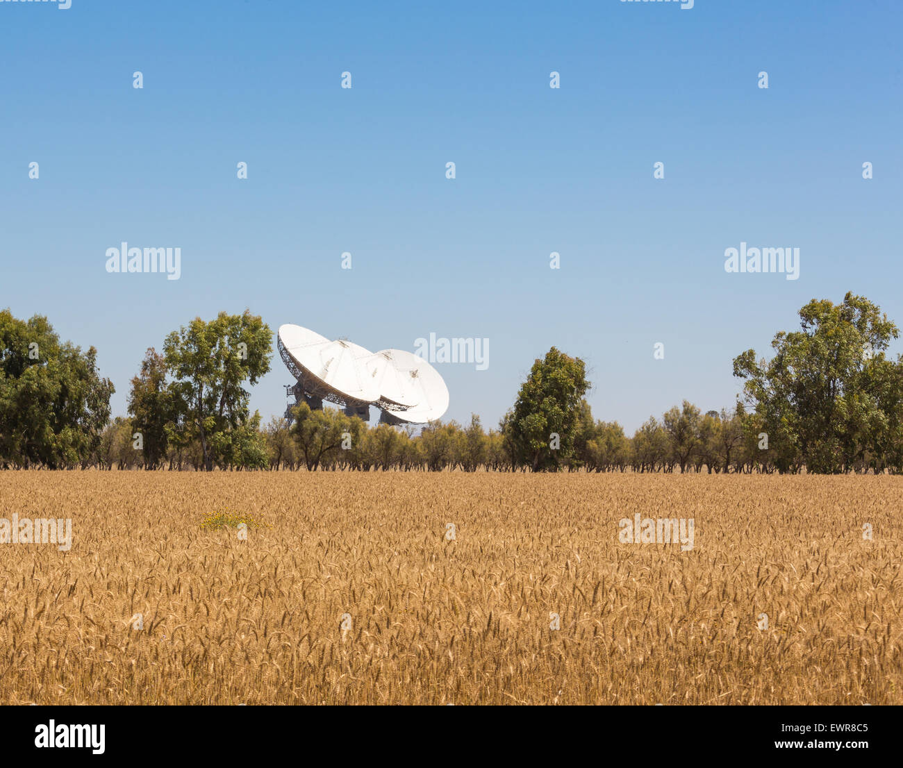 Satellite farm hi-res stock photography and images - Alamy