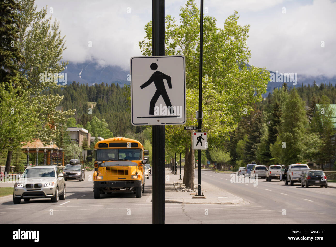 Pedestrian Crossings along Banff Avenue, Banff National Park, Canada ...