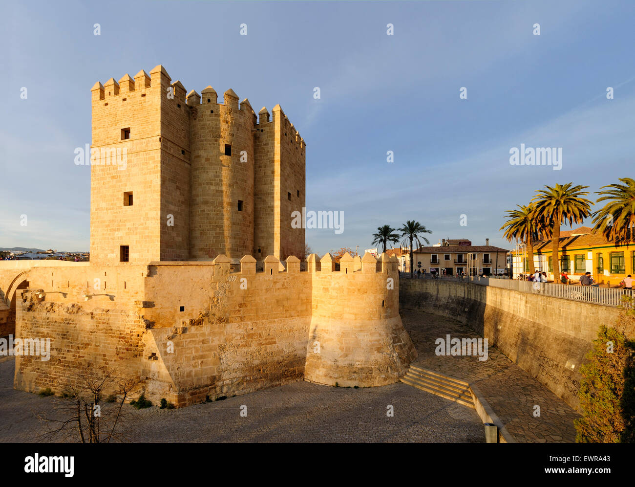 Museo de la torre hi-res stock photography and images - Alamy