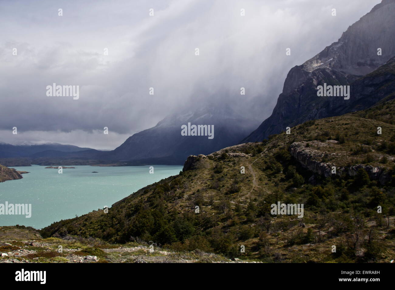 Temperamental hi-res stock photography and images - Alamy